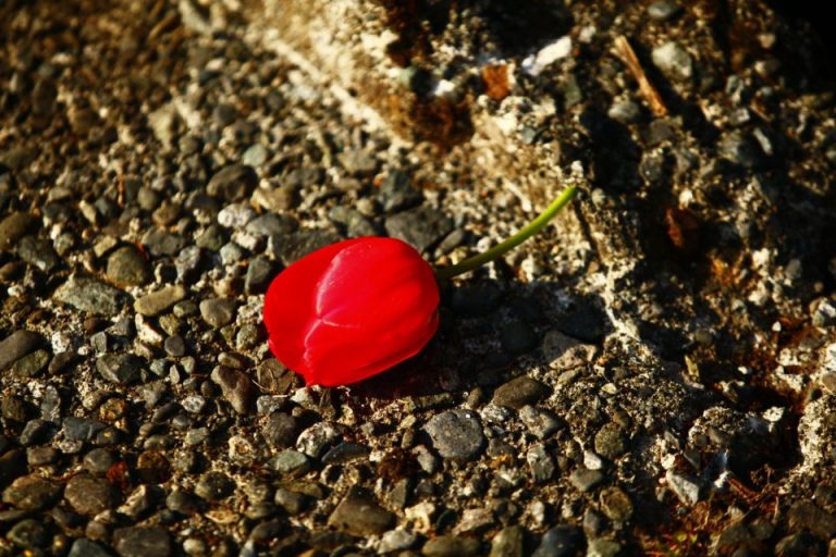 Personal Work – Ron Pogue Photography