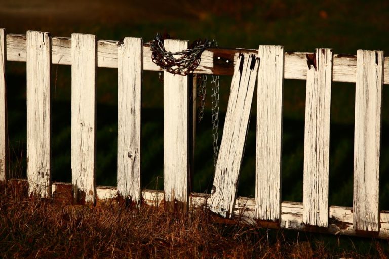 Personal Work – Ron Pogue Photography