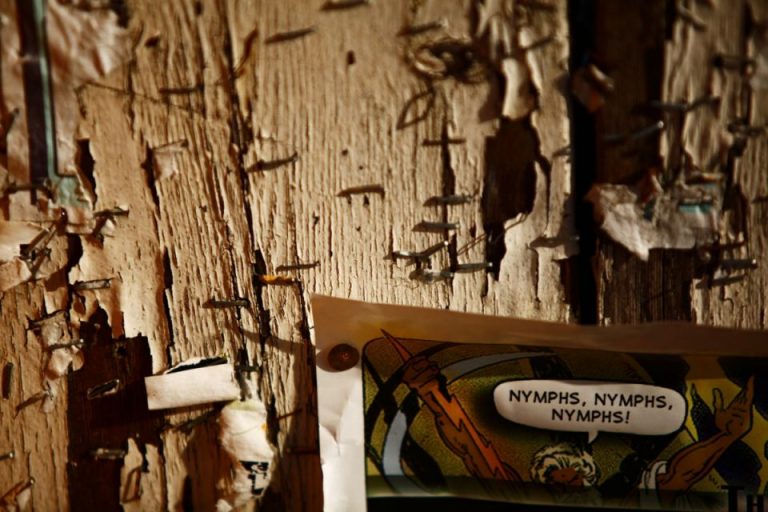 Personal Work – Ron Pogue Photography