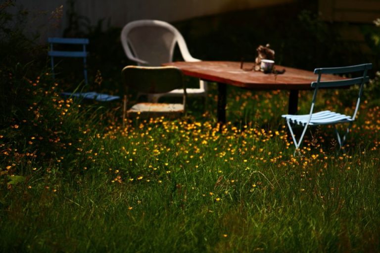 Personal Work – Ron Pogue Photography